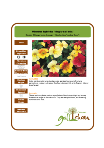 Produits et Services • Les serres gallichan